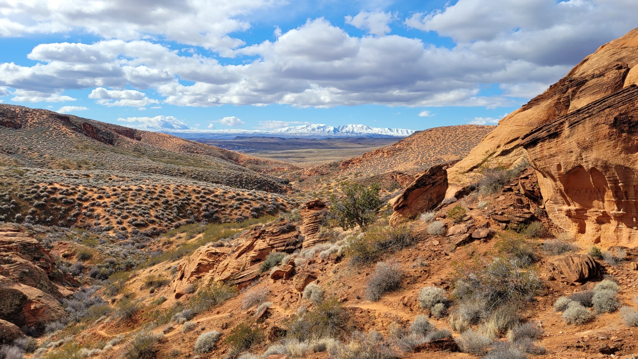Guide to Elephant Arch Trail in Southern Utah – That Outdoor Site